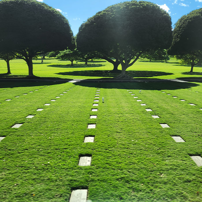 Government Landscaping Contracts Specialists in AU and NZ