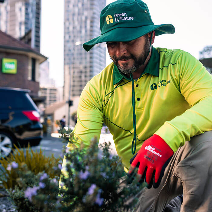 Government Landscaping Contracts Specialists in AU and NZ