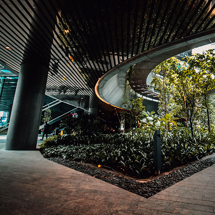 Commercial Landscapes: Exceptional Beauty and Function